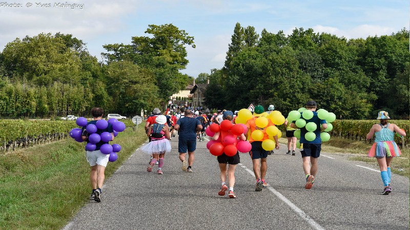 Médoc Marathon 2026 med Elmina Saksi